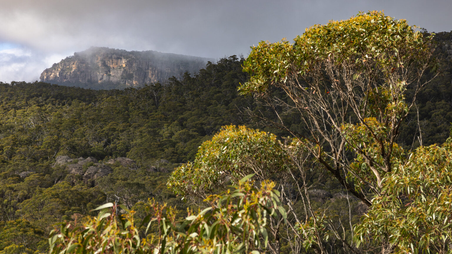 Uinta Triangle Archives - KSL Podcasts