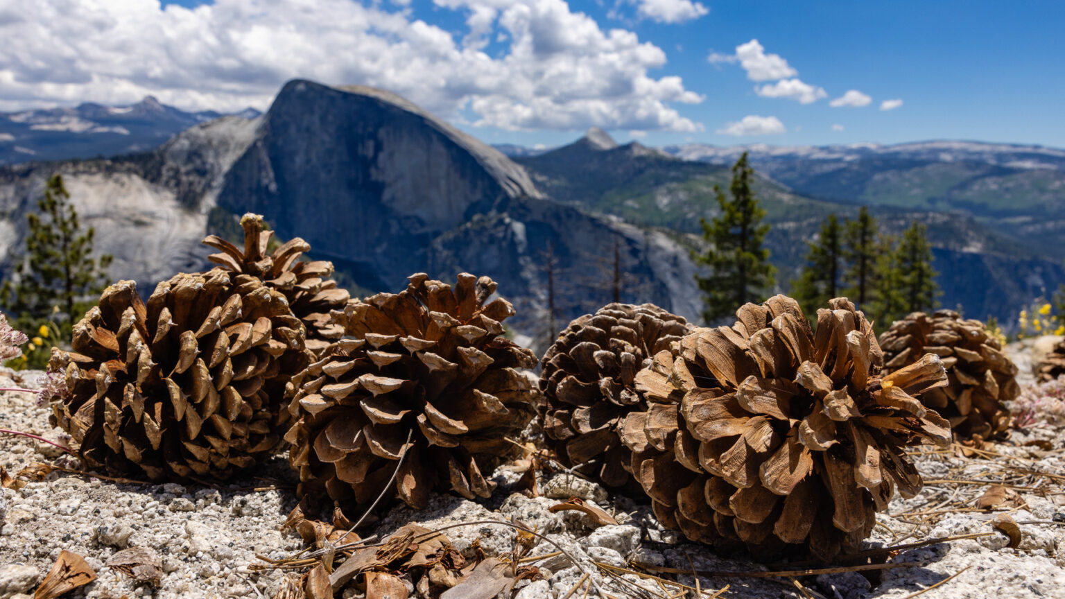 Uinta Triangle Archives - KSL Podcasts